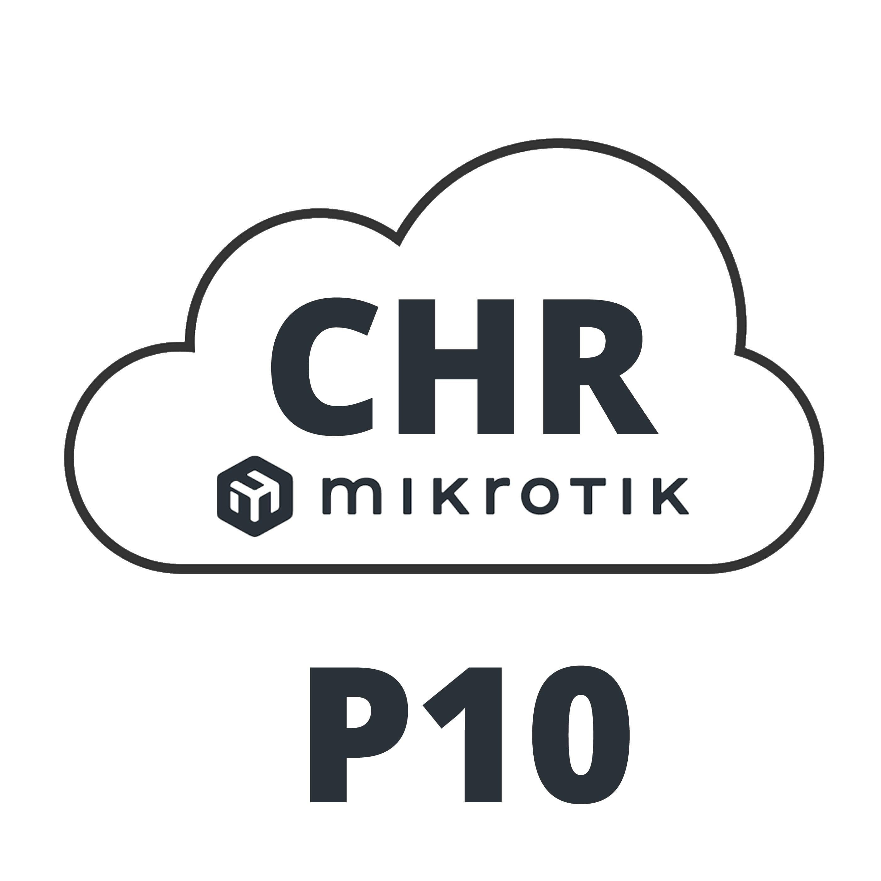 MikroTik Cloud Hosted Router P10 Perpetual 10Gbps upload per interface ...